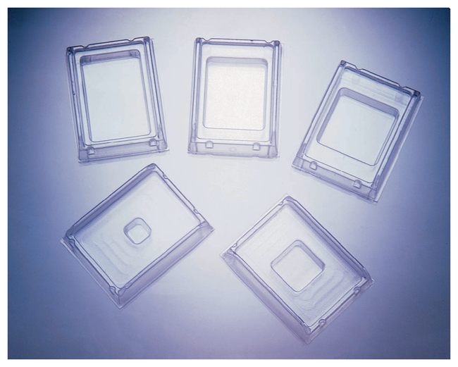 Disposable Base Molds 15 mm | Buy Online | www.fishersci.sg
