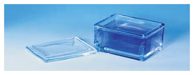 Wheaton™ Accessories and Replacement Parts for 20-Slide Glass Staining ...