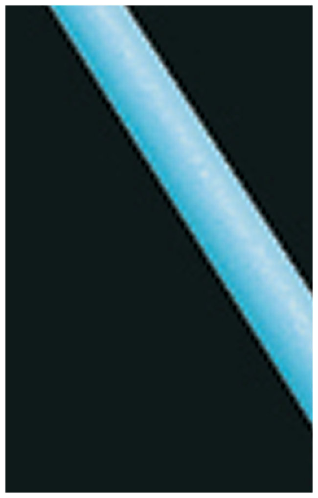 Ino-Loop™ Inoculating Loops and Needles 1 μL | Contact Us | Simport ...