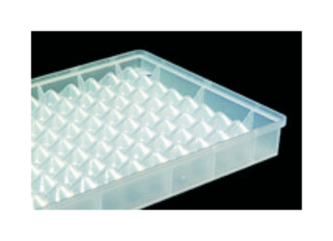 Storage Microplates Clear | Buy Online | Axygen | www.fishersci.sg