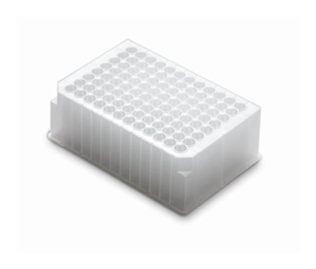 Storage Microplates Clear | Buy Online | Axygen | www.fishersci.sg