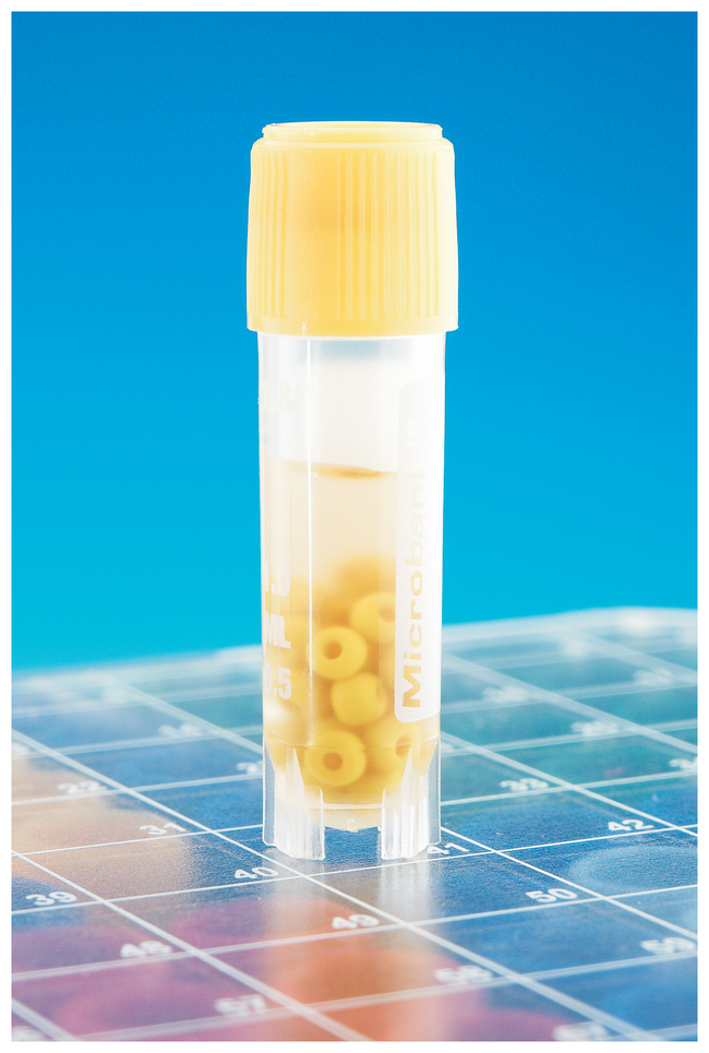Microbank™ Bacterial and Fungal Preservation System Yellow | Contact Us ...
