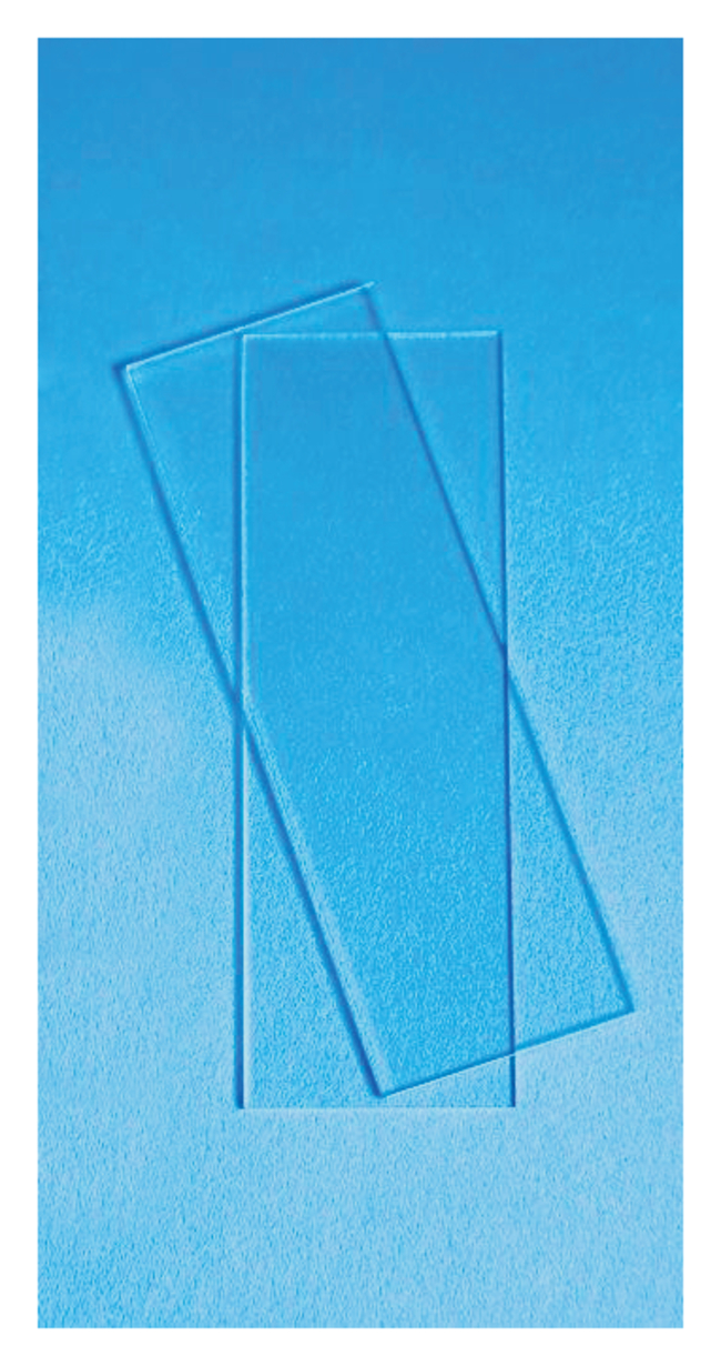 Economy Plain Glass Microscope Slides Pack | Contact Us | Fisherbrand ...