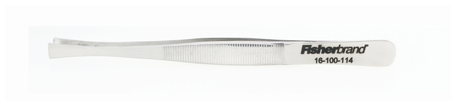 Straight Flat Broad Tip Forceps 120 mm | Buy Online | www.fishersci.sg