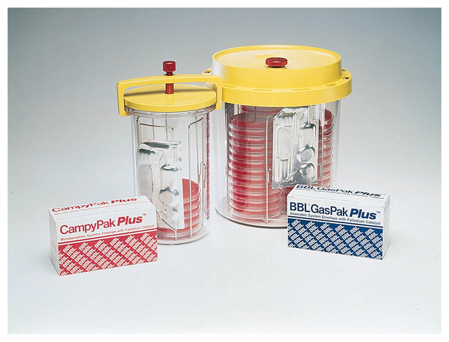GasPak™ 100 Systems No | Contact Us | Fisherbrand | www.fishersci.sg