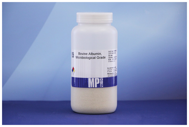 Bovine Albumin, from New Zealand-sourced Bovine Plasma 100 g | Buy ...