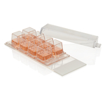 Nunc™ Lab-Tek™ Chamber Slide System 8 | Contact Us | www.fishersci.sg