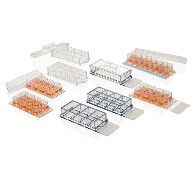 Nunc™ Lab-Tek™ Chamber Slide System 4 | Buy Online | Thermo Scientific