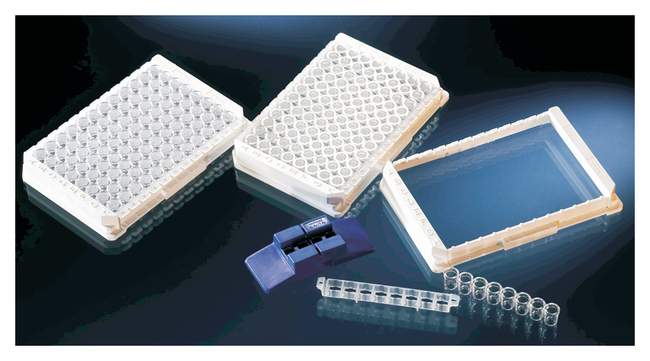 Immuno Breakable Modules Clear MaxiSorp | Buy Online | www.fishersci.sg