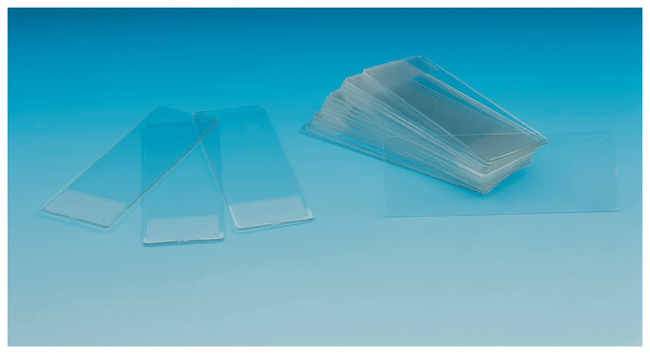 Nunc™ Microscope Slides Permanox | Buy Online | Thermo Scientific | www ...