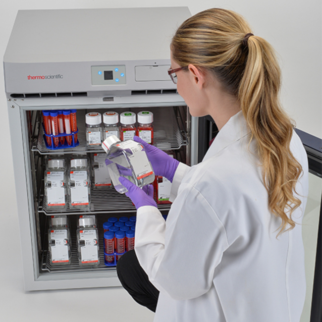 TSG Series Undercounter Refrigerators Glass | Contact Us | www.fishersci.sg